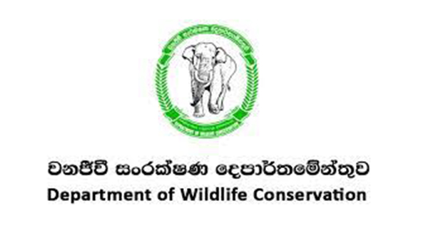 wildlife department sri lanka Archives - aithiya