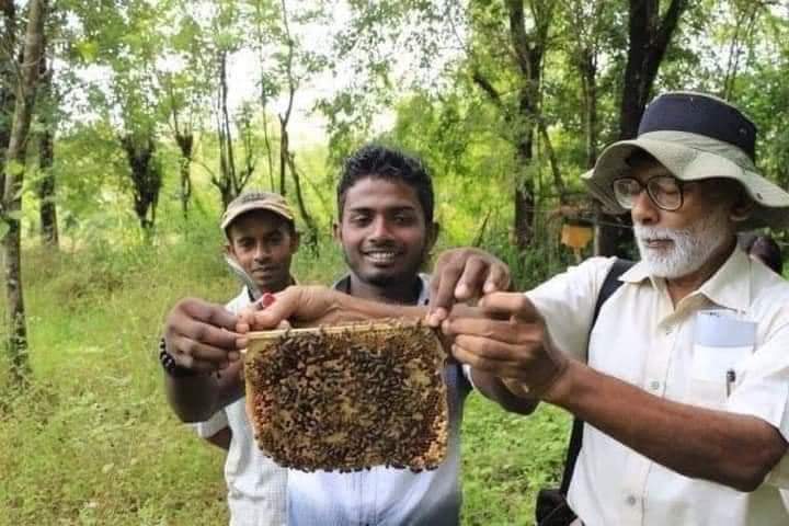 අලි මිනිස් ගැටුම බේරන්න මීමැස්සෝ මැදිහත් වෙති.!!! - aithiya