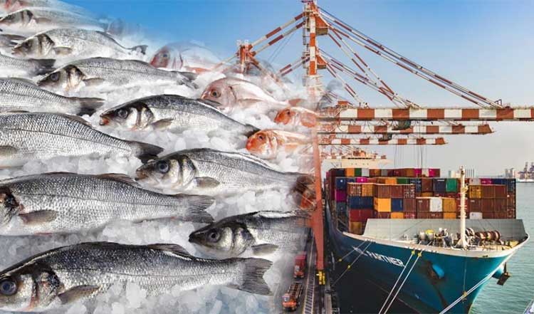 කුණු මාළු කන්ටේනර් 98ක් ගොඩබාන්න අවසර දීලා... - aithiya