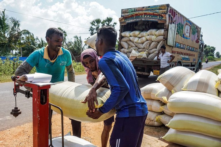 වී අලෙවි මණ්ඩලයට පණ දෙන්න පුළුවන් ද? - aithiya